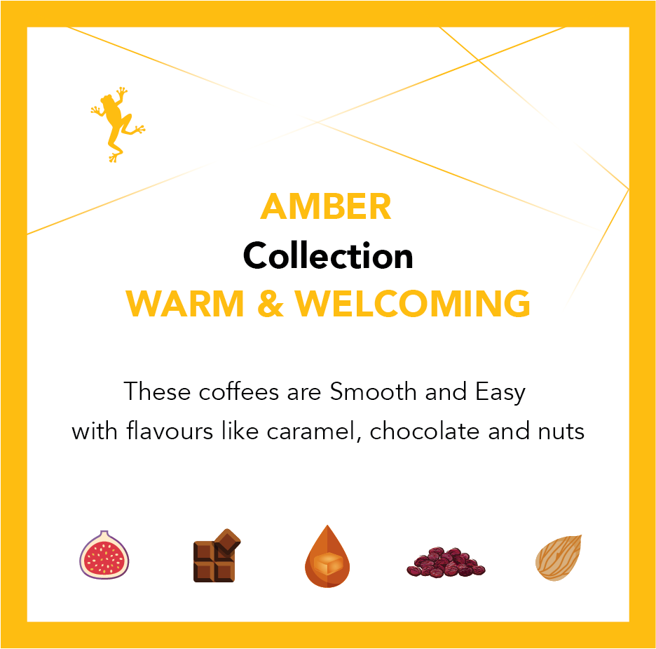 AMBER COLLECTION – Seth Taylor Coffee
