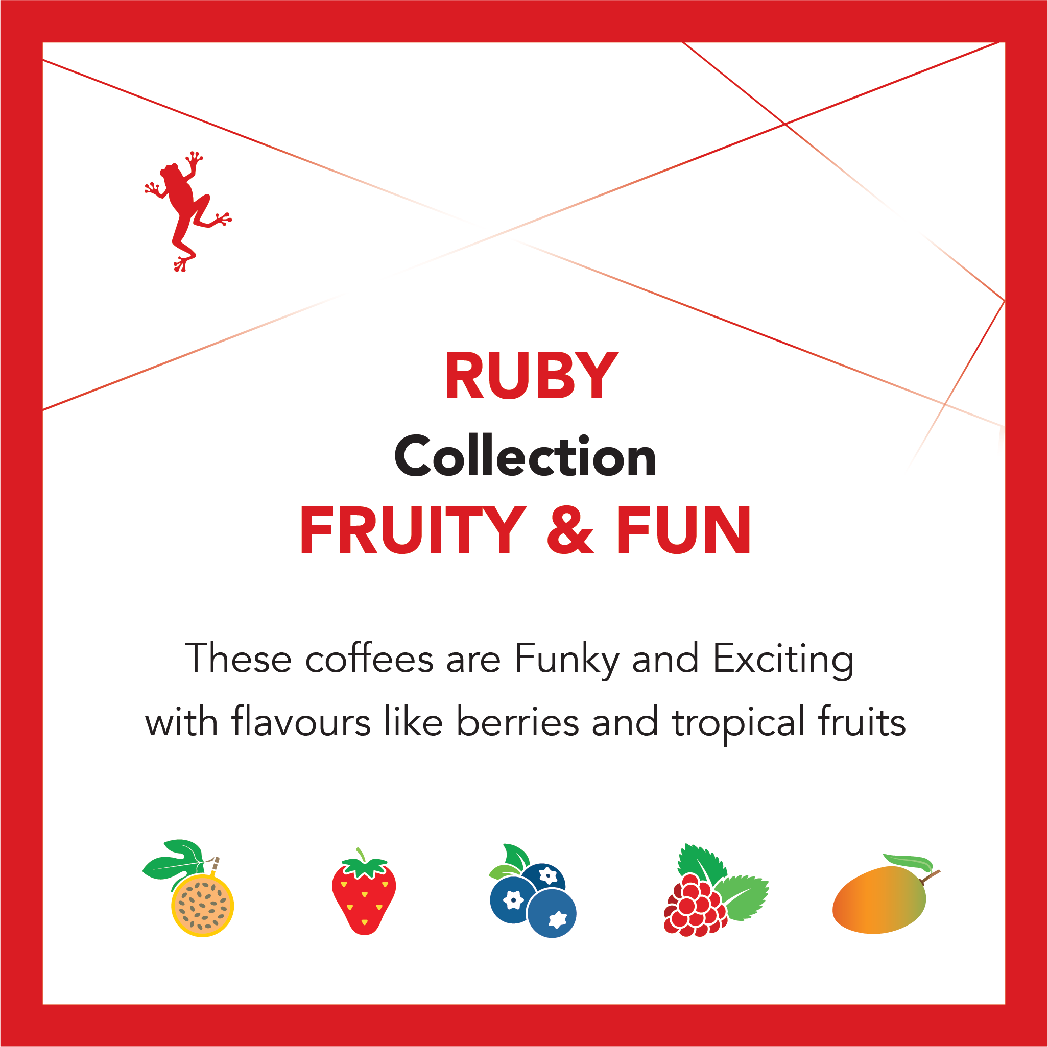 RUBY COLLECTION – Seth Taylor Coffee