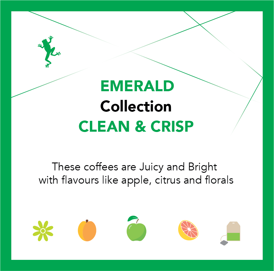EMERALD COLLECTION – Seth Taylor Coffee