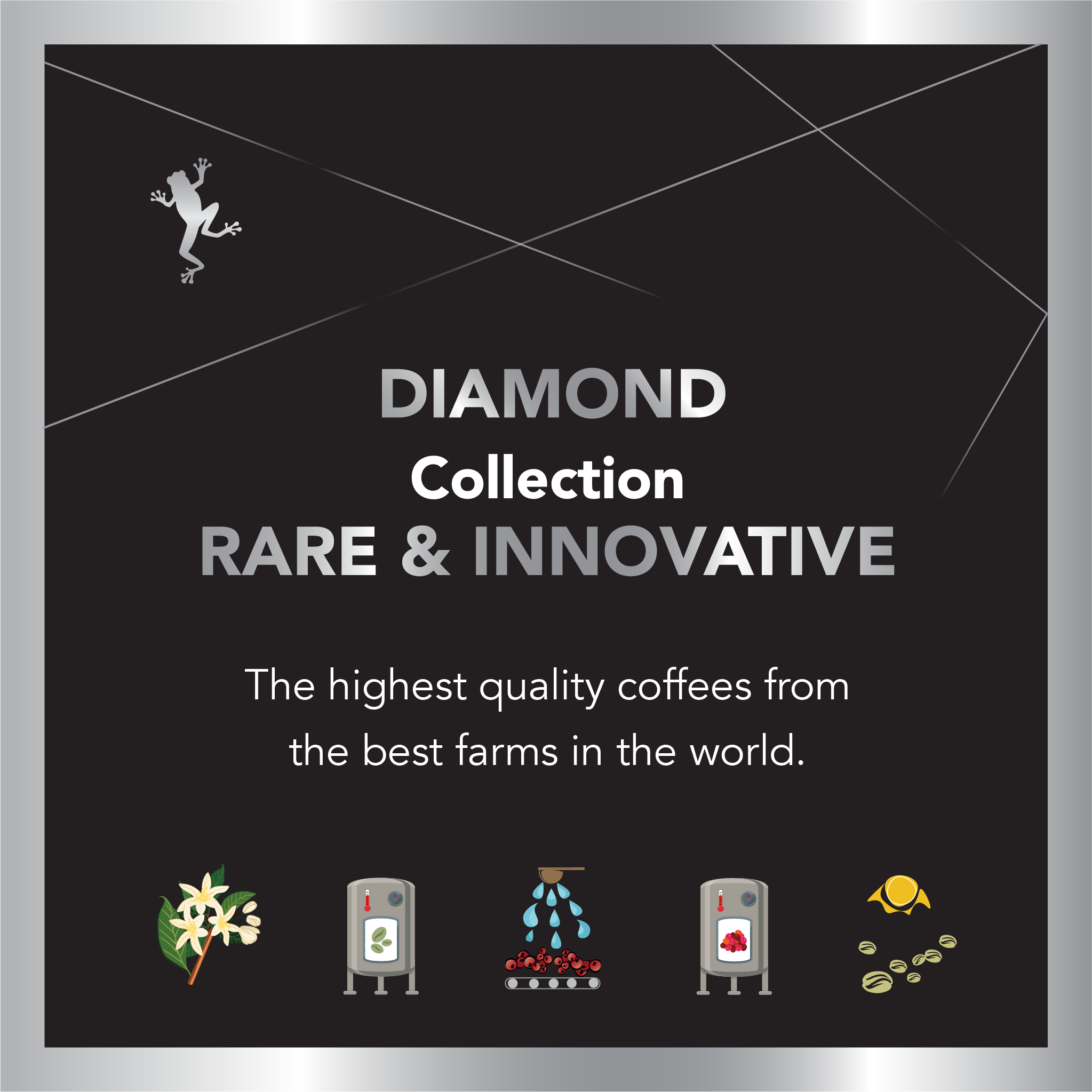 DIAMOND COLLECTION – Seth Taylor Coffee