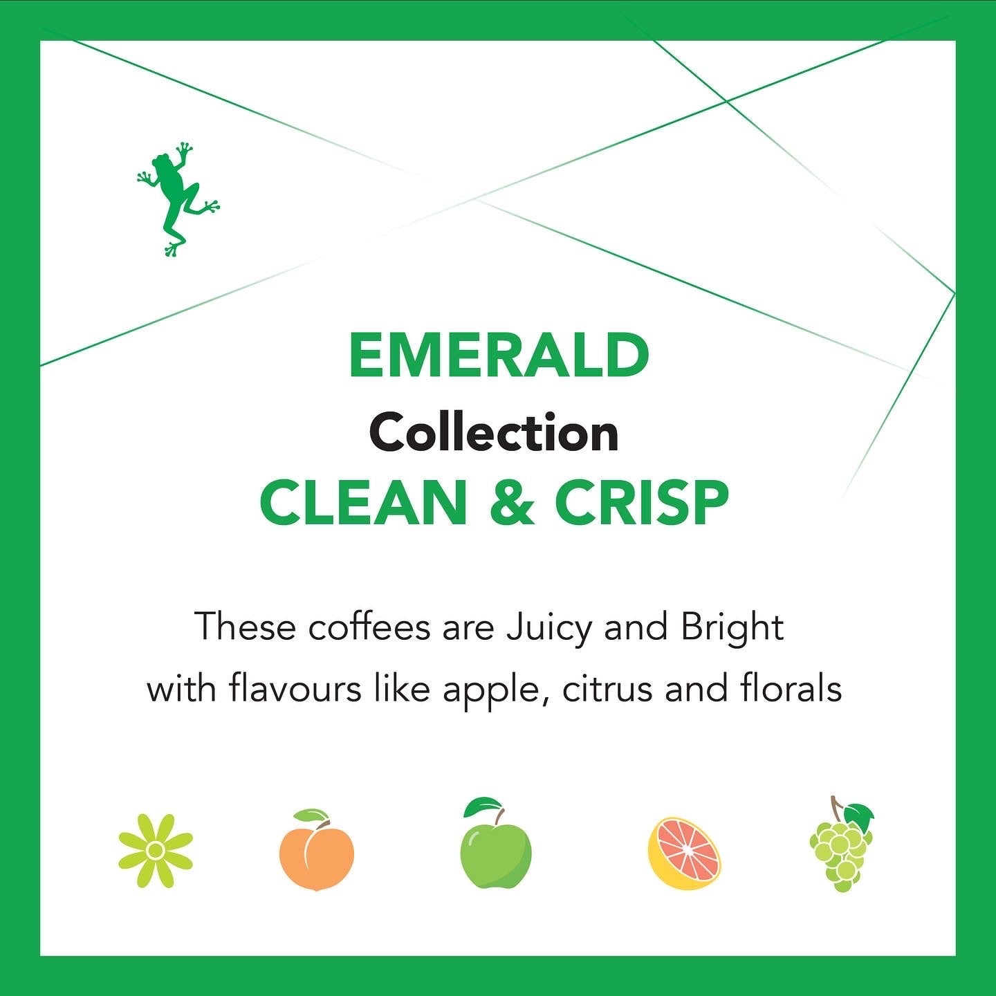 Emerald Collection Ongoing Subscription – Seth Taylor Coffee