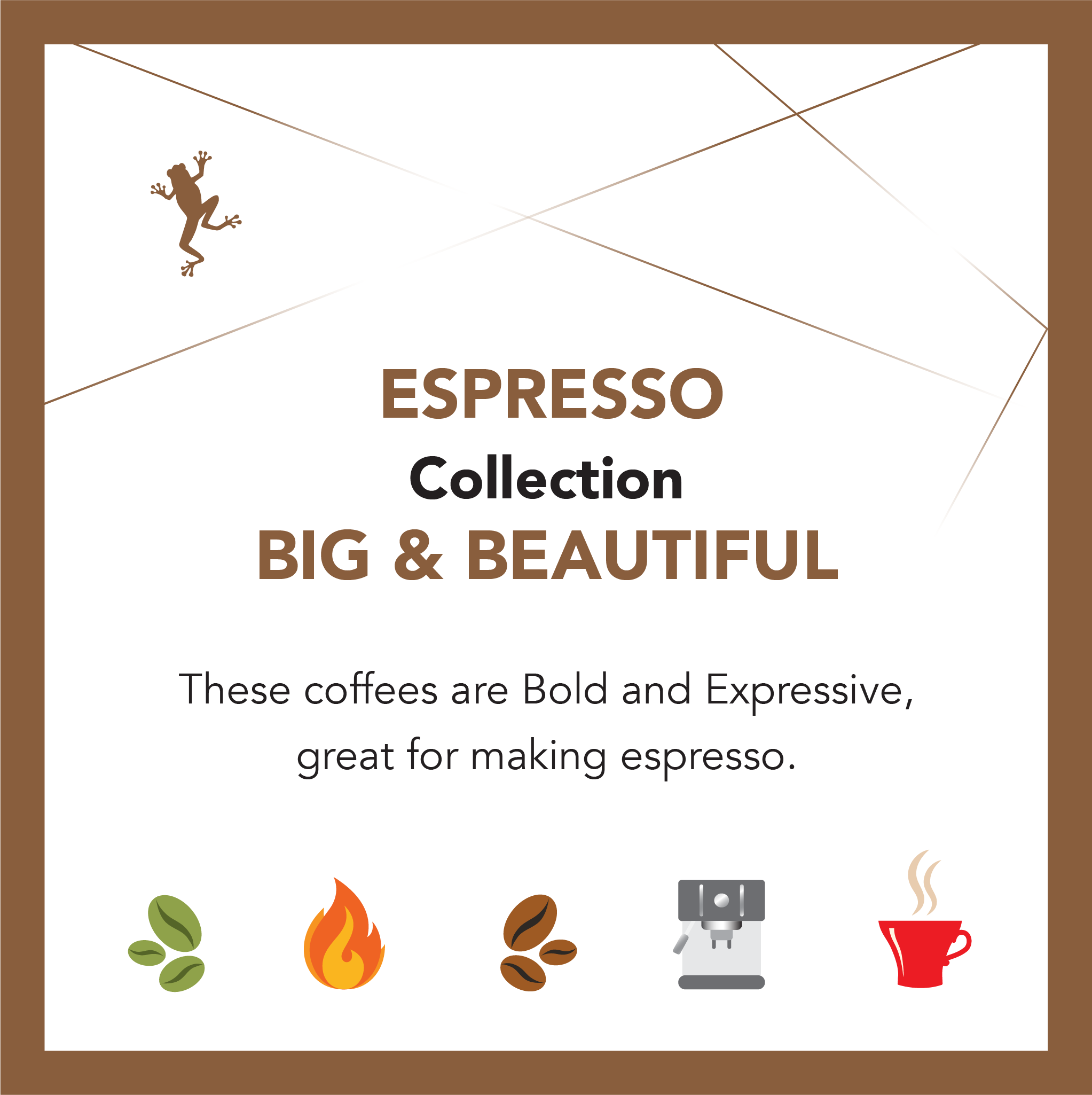 Espresso Collection Ongoing Subscription – Seth Taylor Coffee